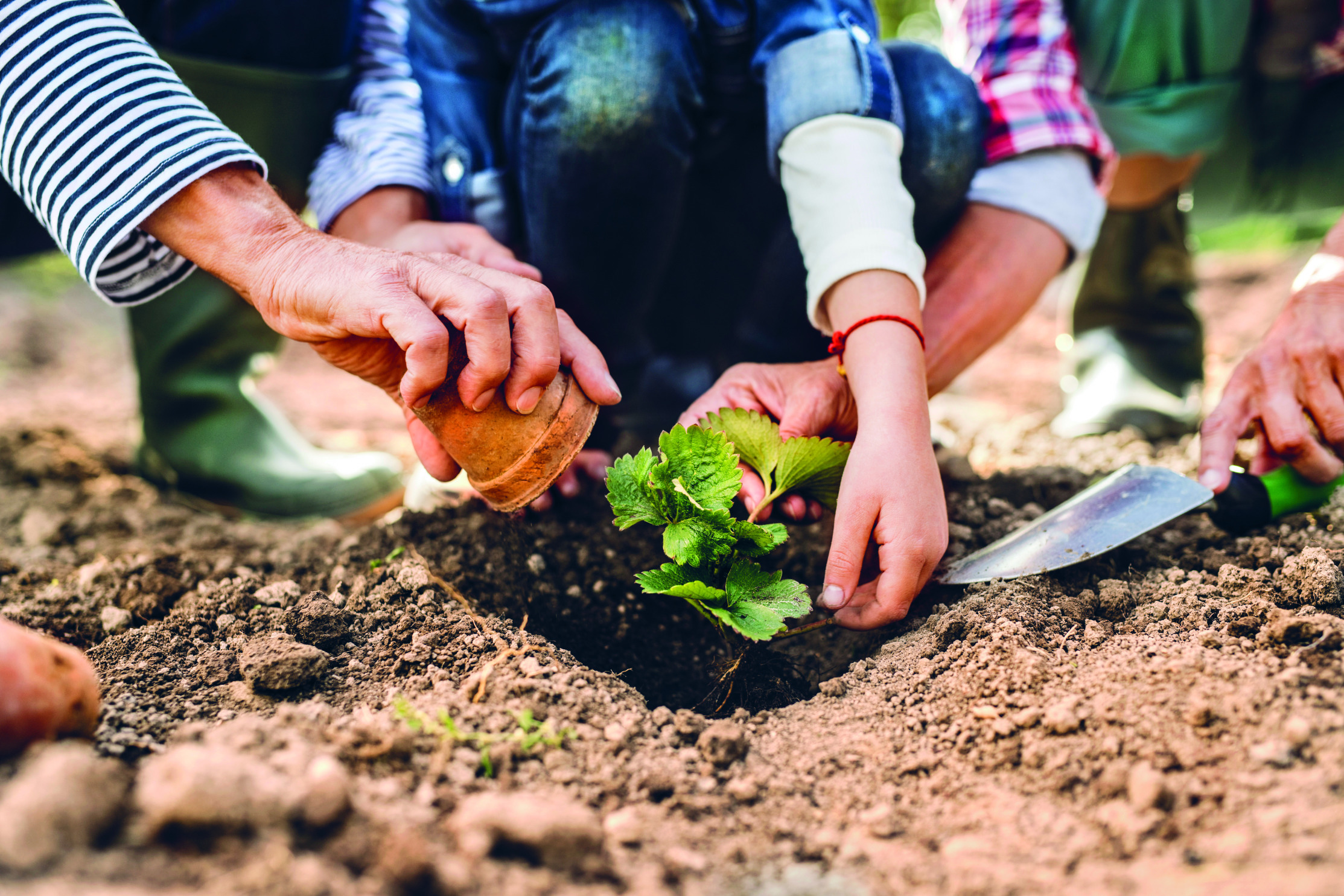 Partnerschaft mit PLANT-MY-TREE - Heimstaden